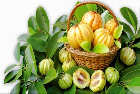 Garcinia Cambogia With Green Coffee Bean Extract for weight loss